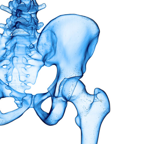 Orthopedic Surgeon in Indianapolis, IN | Sean P. Calloway, MD