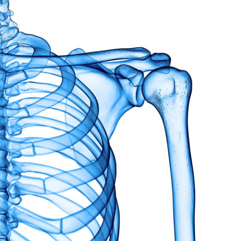 Orthopedic Surgeon in Indianapolis, IN | Sean P. Calloway, MD